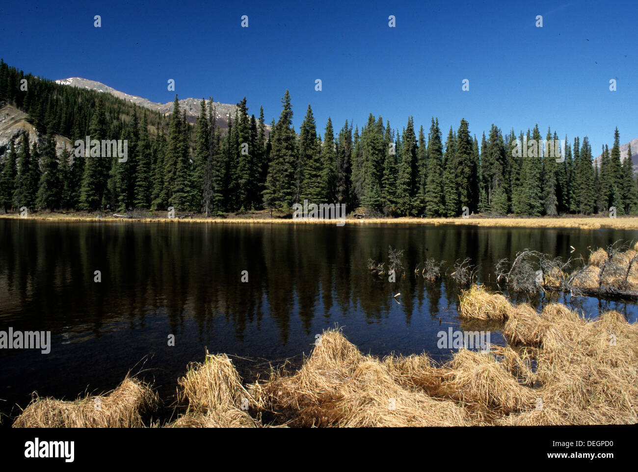 nature, alaska, landscape, wilderness, alaskan Stock Photo - Alamy