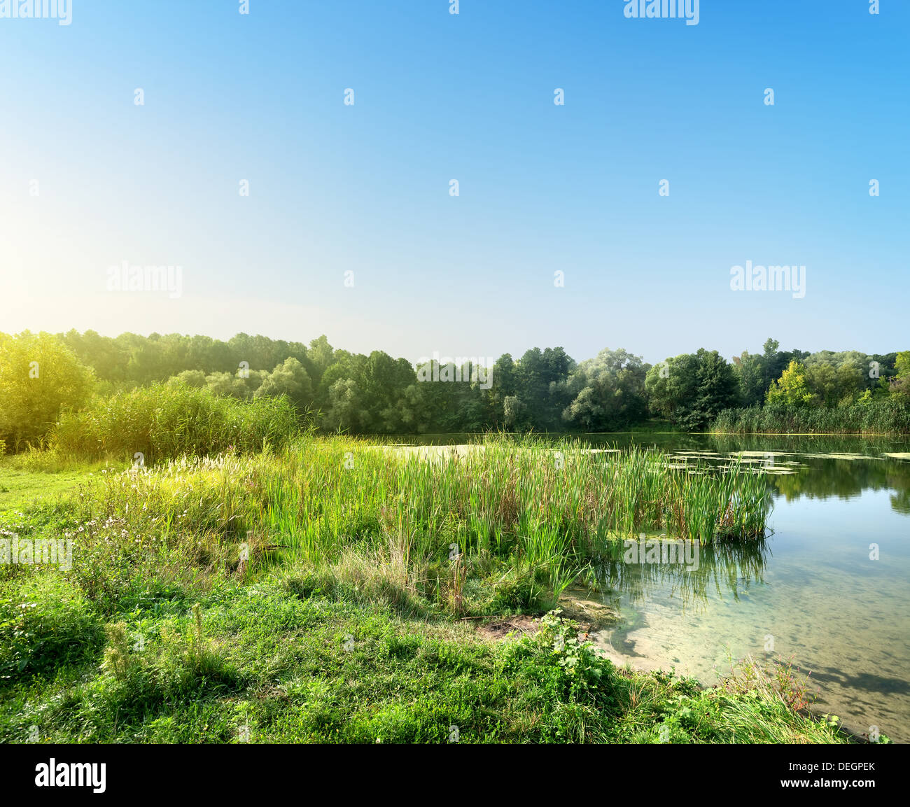 Silent growth hi-res stock photography and images - Alamy