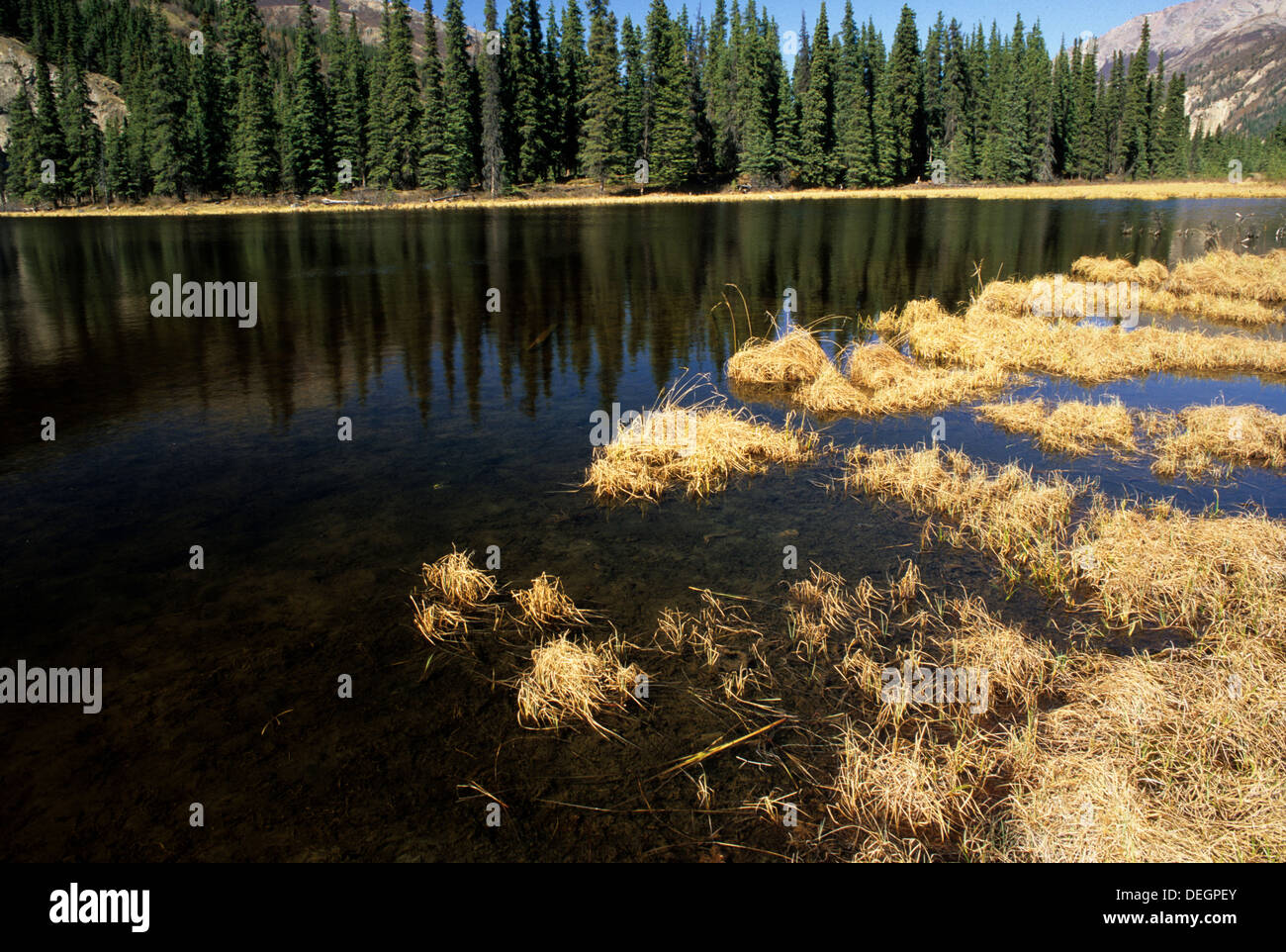 nature, alaska, landscape, wilderness, alaskan Stock Photo - Alamy