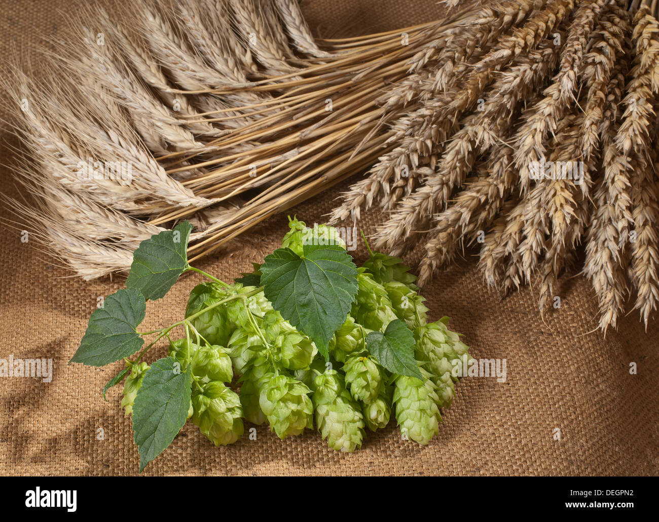 S s hop hi-res stock photography and images - Alamy