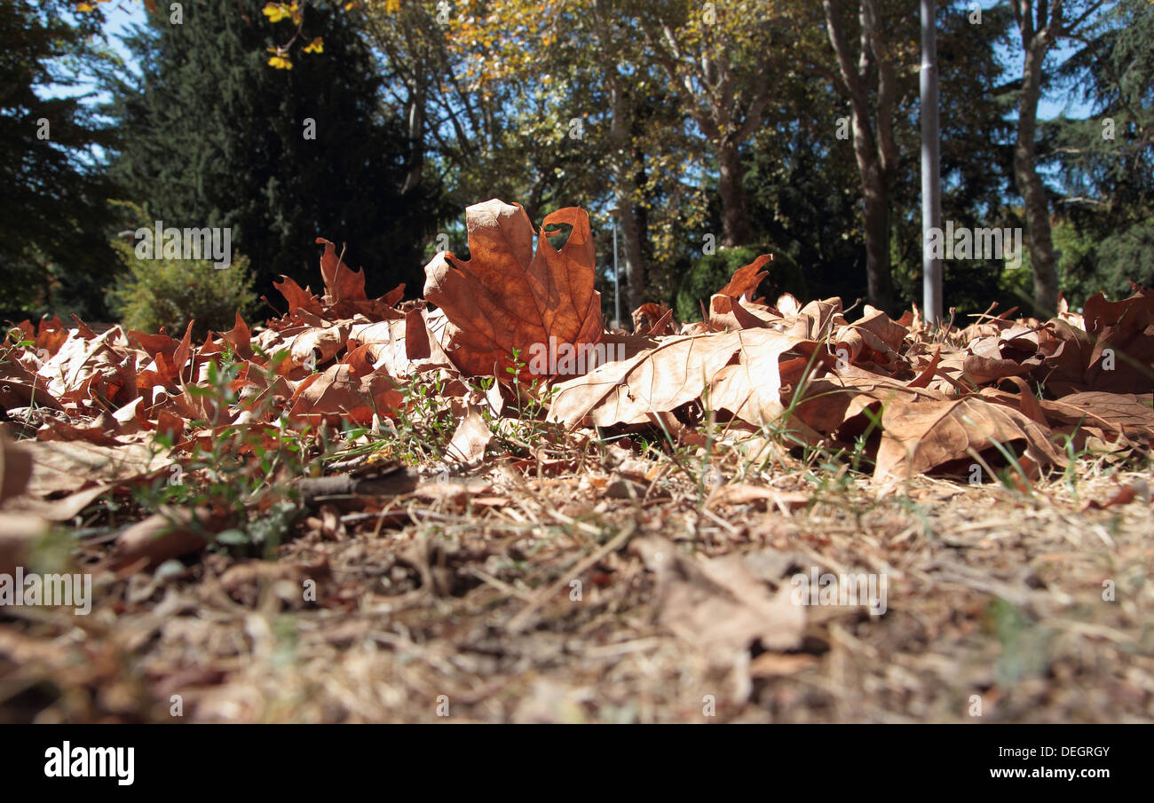 Person falling ground hi-res stock photography and images - Alamy