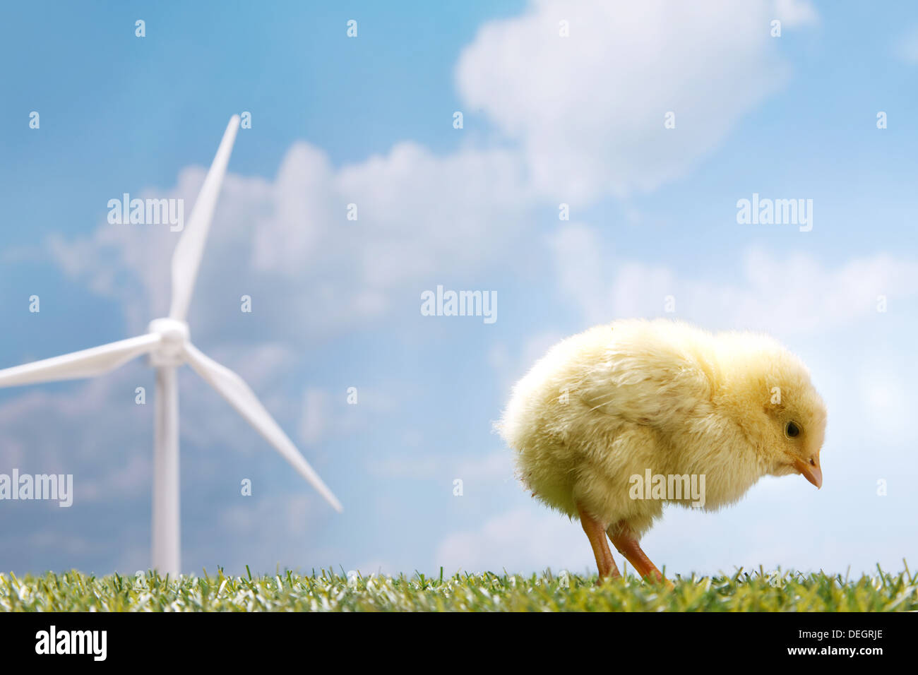 Windmill front and side view hi-res stock photography and images - Alamy