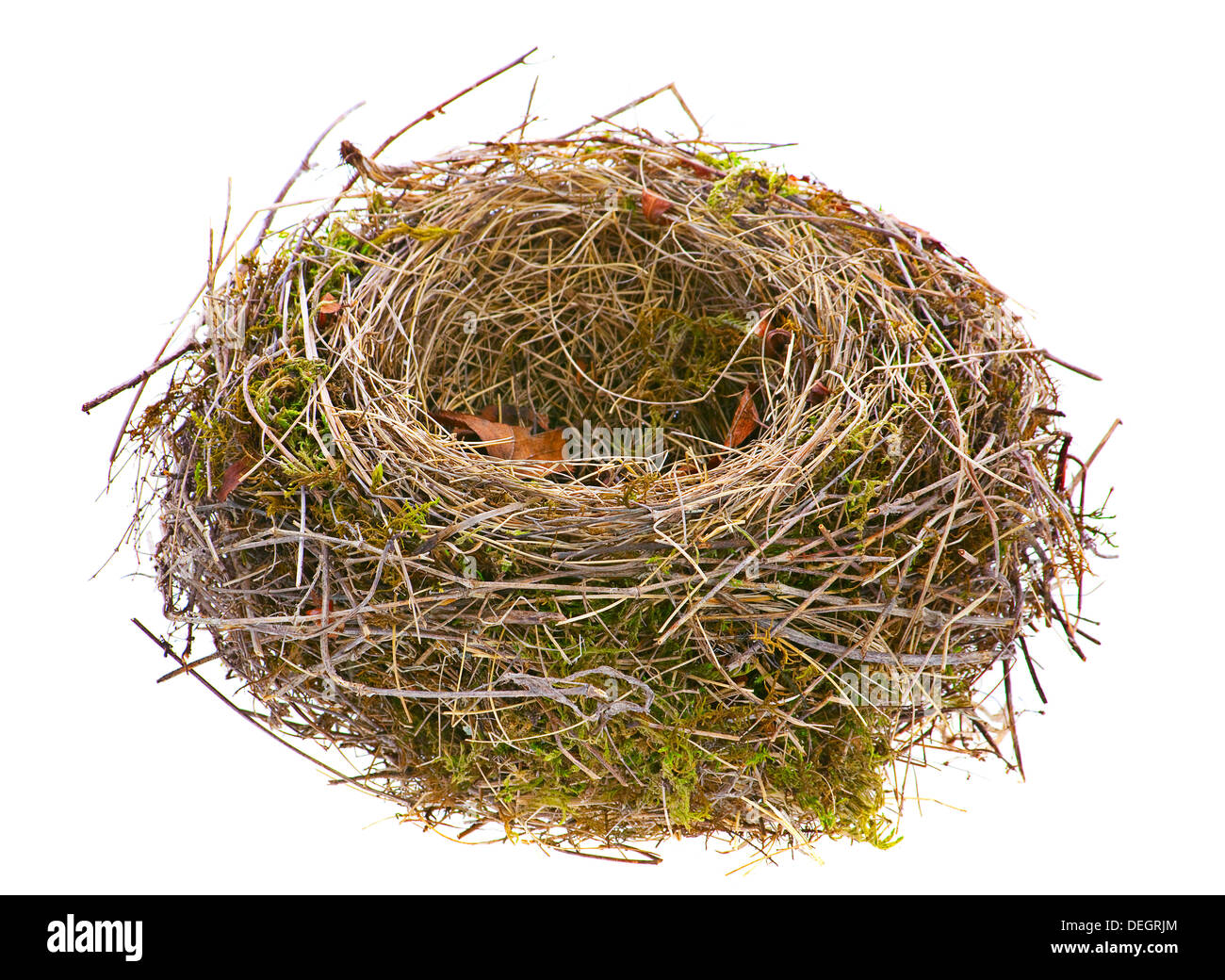 Empty bird nest hi-res stock photography and images - Alamy