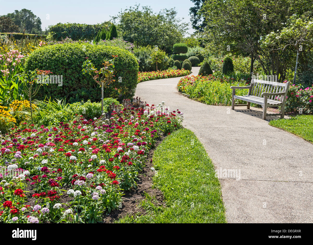 Winding walkway through beautiful and colorful garden at the Huntington ...