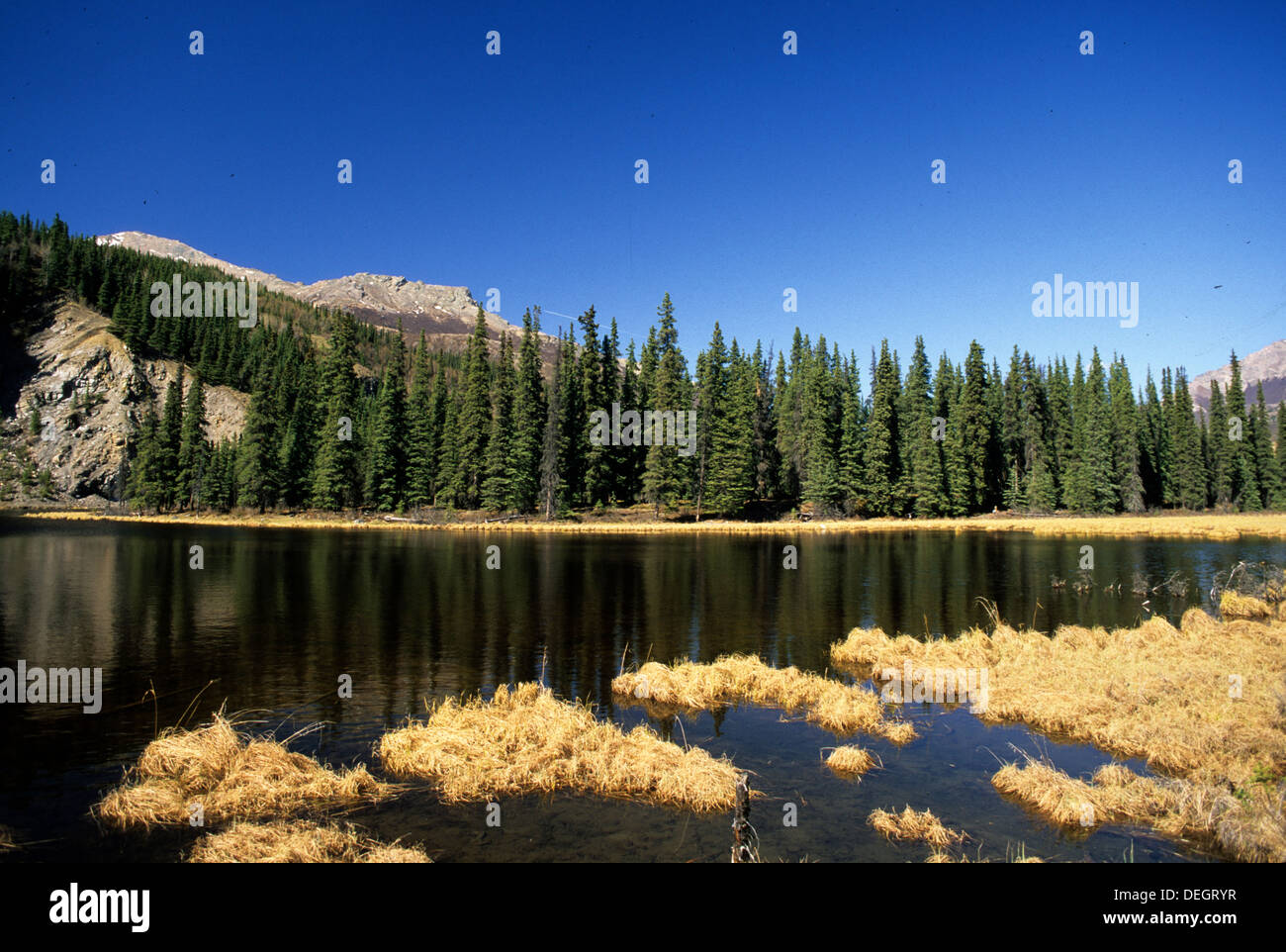 nature, alaska, landscape, wilderness, scenic, alaskan Stock Photo - Alamy