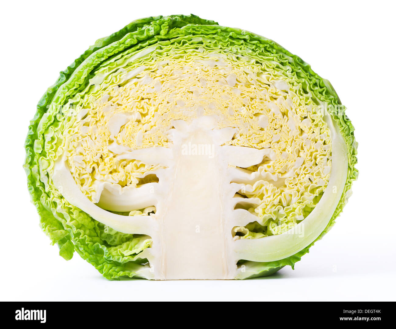 Savoy cabbage cross section isolated on white background Stock Photo ...