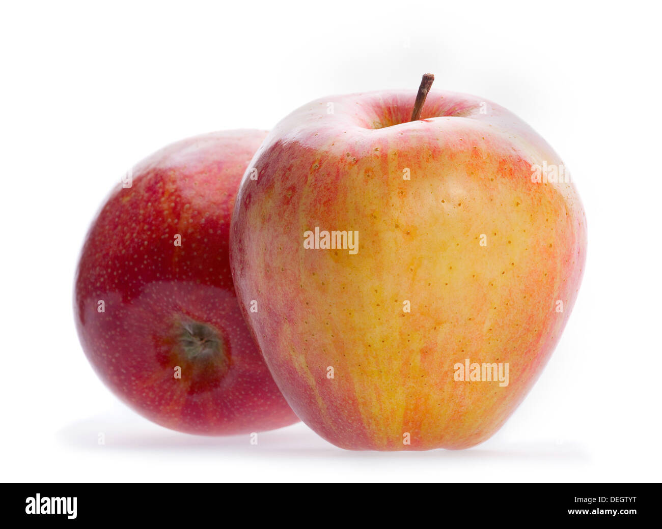 Two apple fruit on white background Stock Photo - Alamy