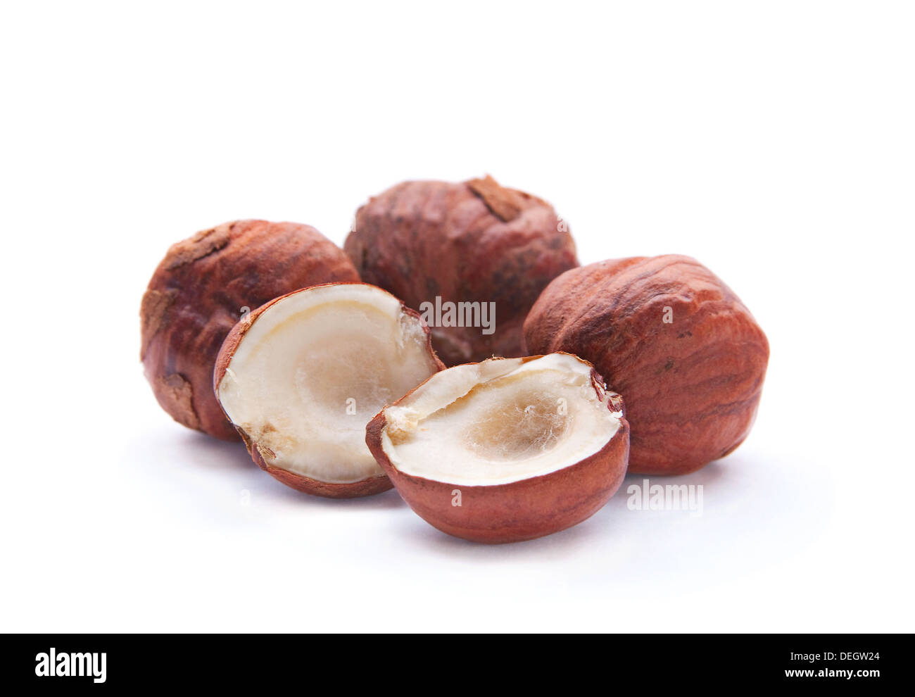 Hazelnut nut closeup isolated on white Stock Photo - Alamy