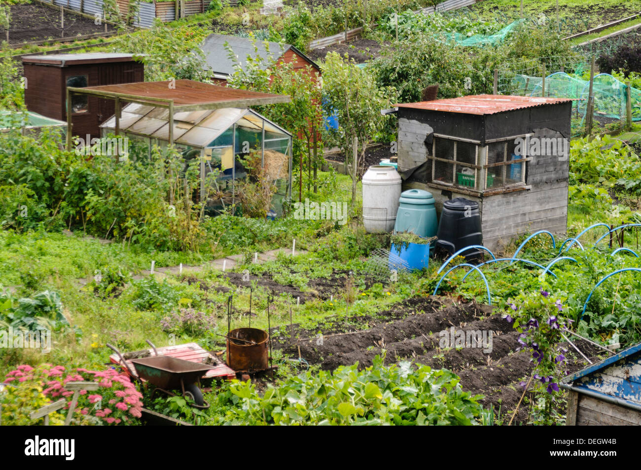 Allotment garden wooden greenhouse hi-res stock photography and images ...