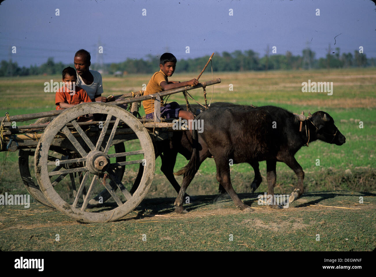 nepal, people, portrait, village, himalaya, asia, nepalese, asian ...