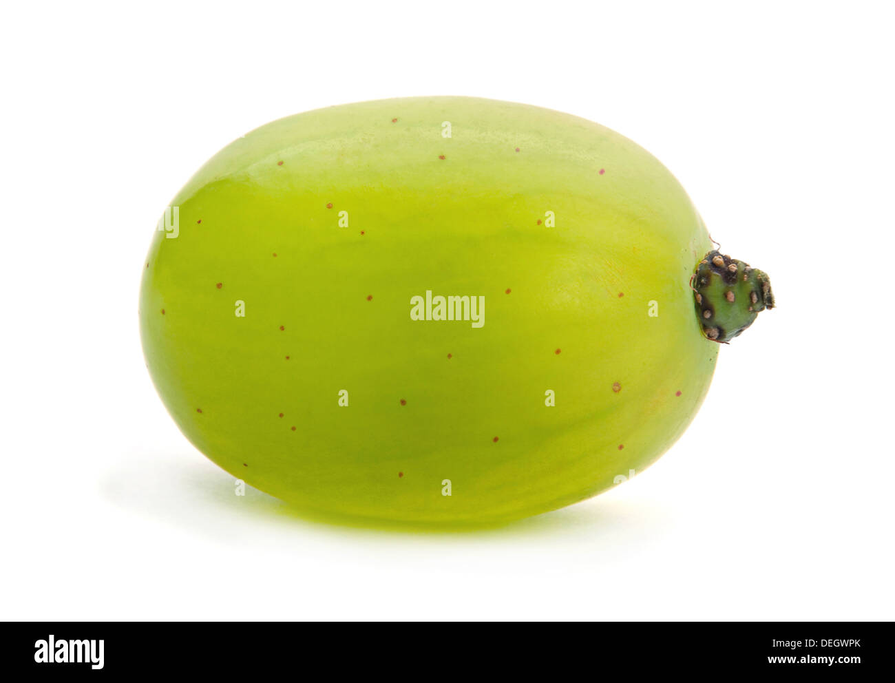 Grape berry closeup isolated on white Stock Photo - Alamy
