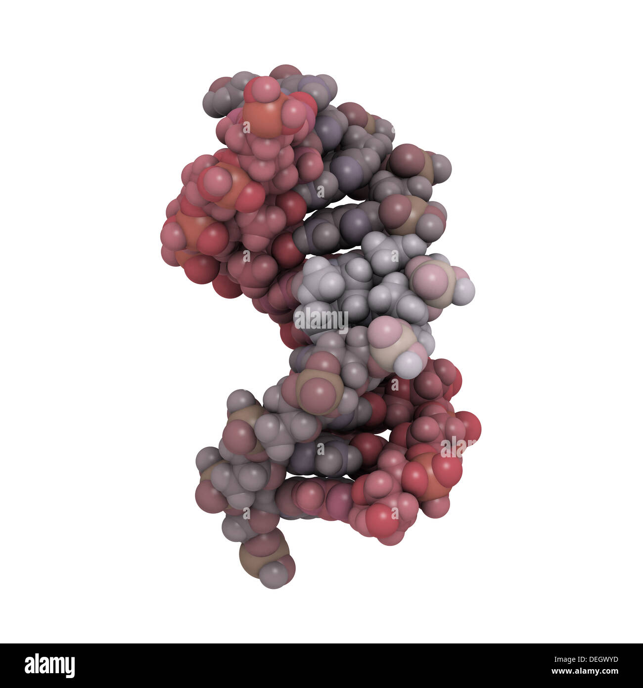 DNA damaged by light, chemical structure. UV radiation has caused two ...