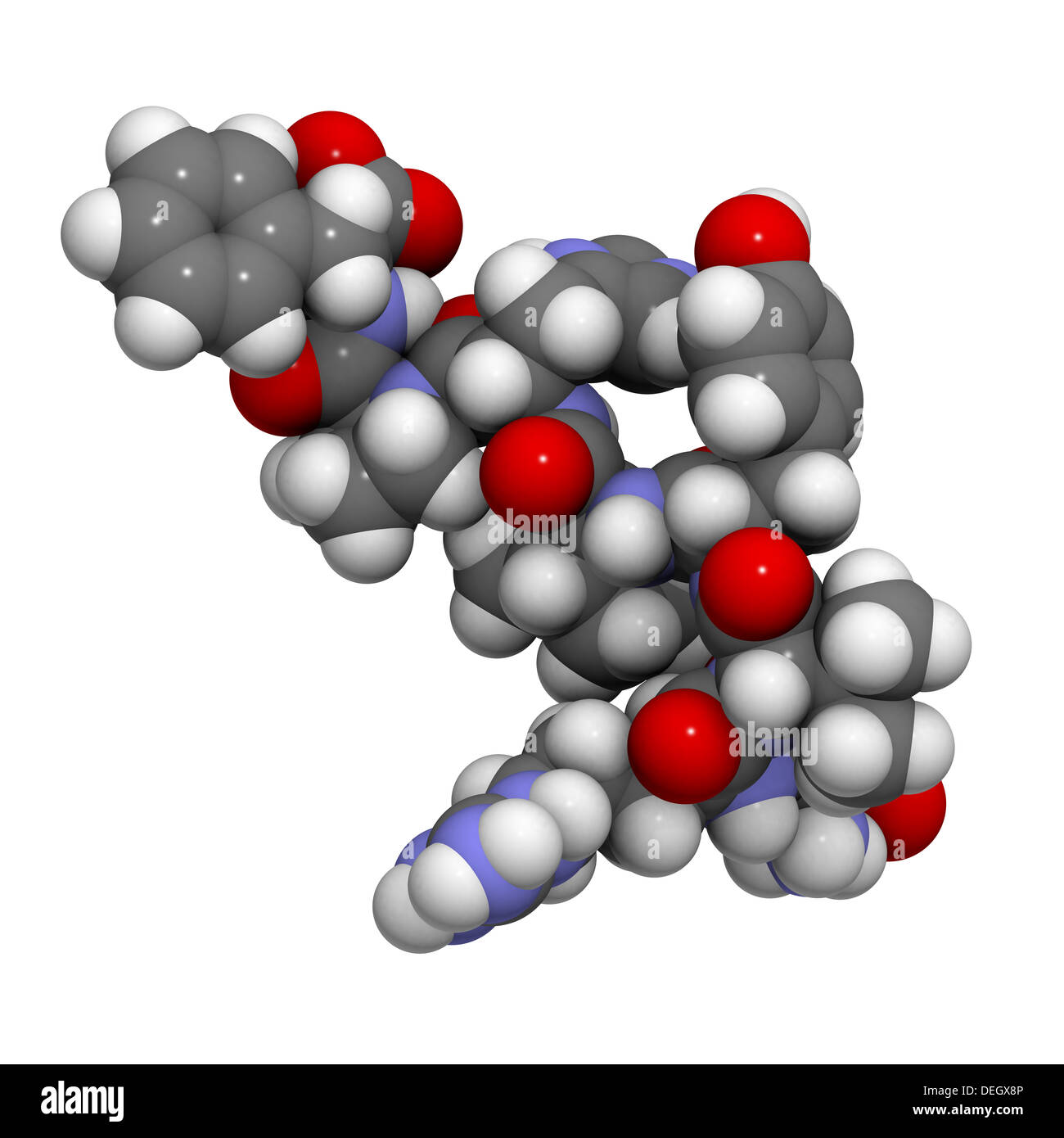Renin angiotensin system hi-res stock photography and images - Alamy