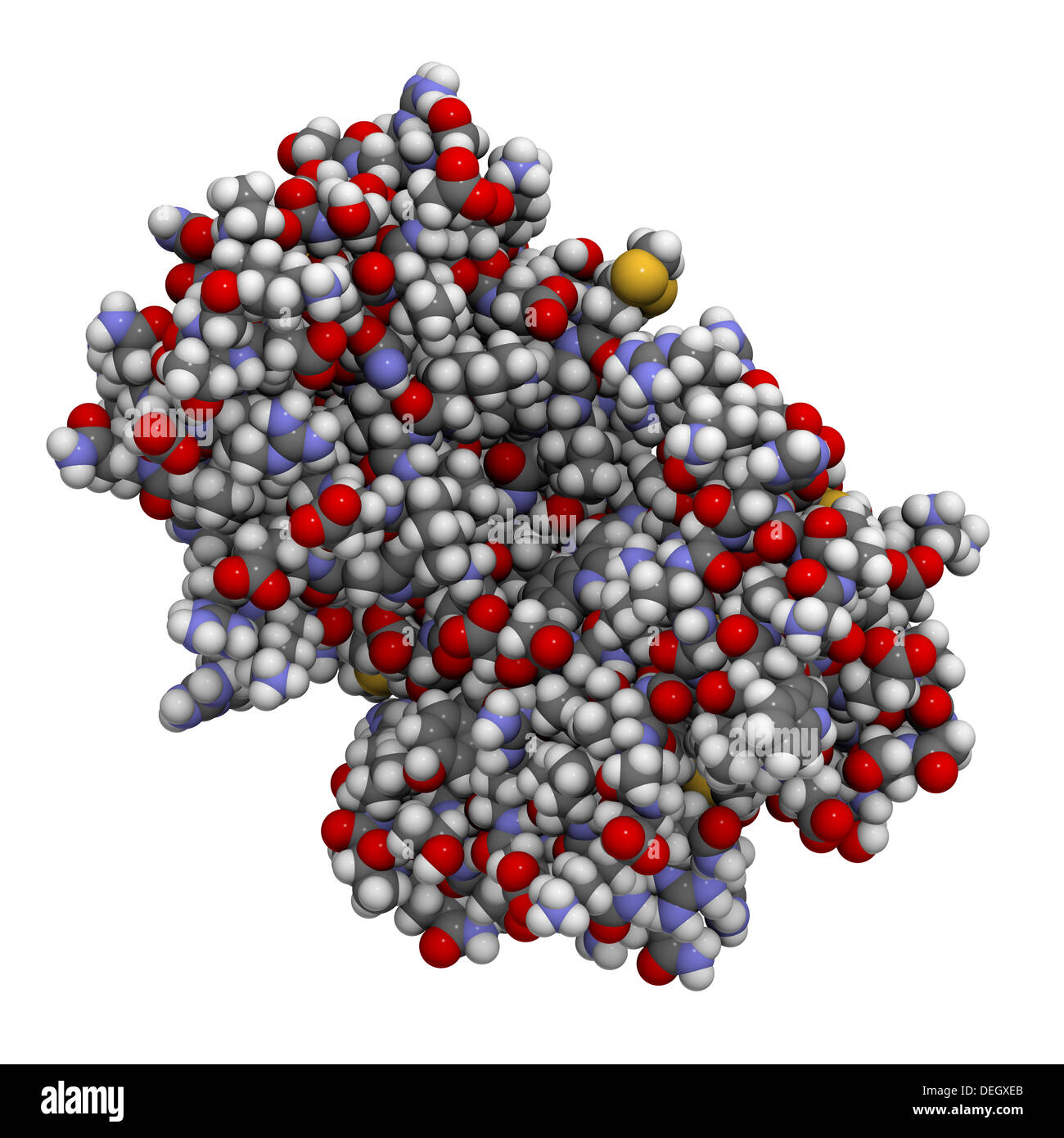 Chemical structure of a cyclic ADP ribose hydrolase (CD38) protein ...