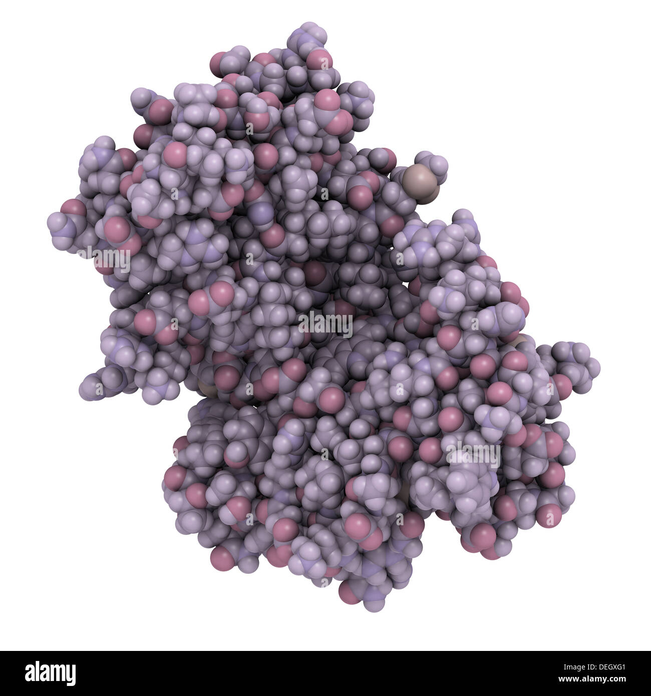 Chemical structure of a cyclic ADP ribose hydrolase (CD38) protein ...