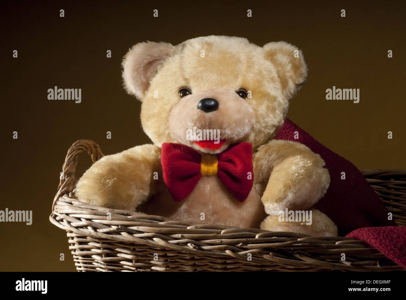Teddy bear shadow hi-res stock photography and images - Alamy
