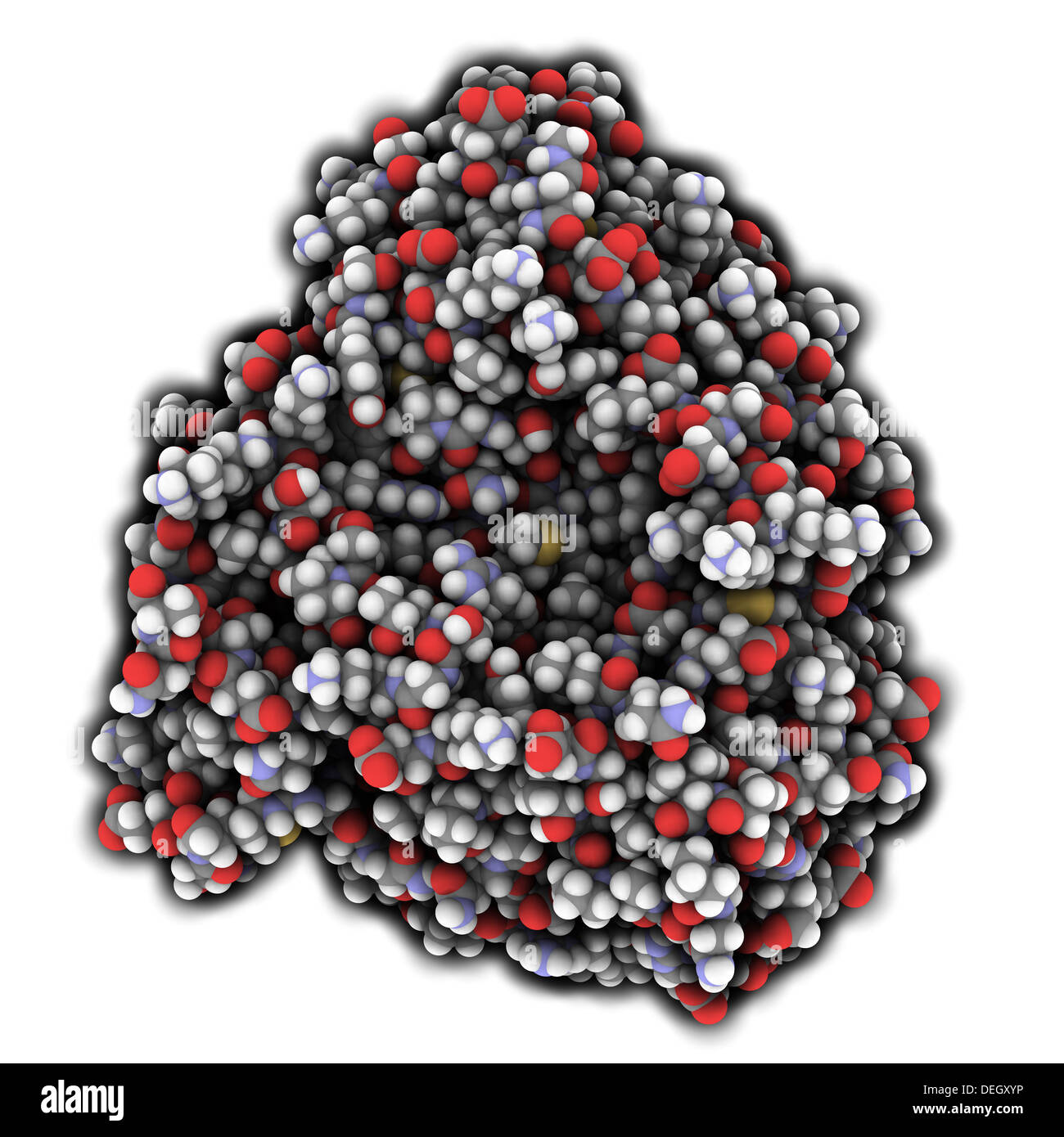 Cytochrome p450 (CYP3A4) protein molecule. Liver enzyme that plays an ...