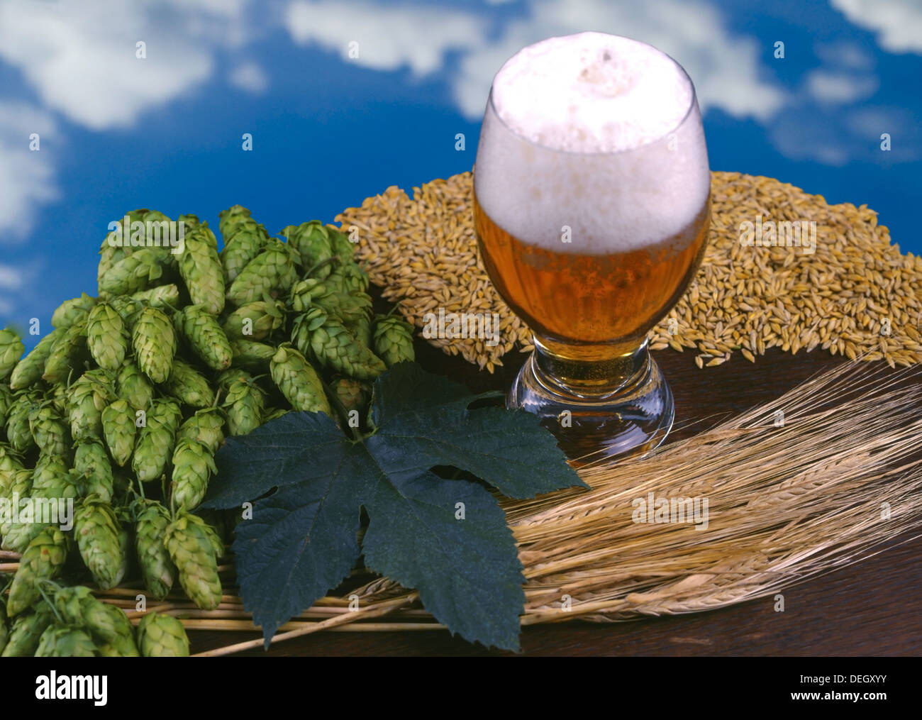 Beer Brewing Overhead High Resolution Stock Photography and Images - Alamy
