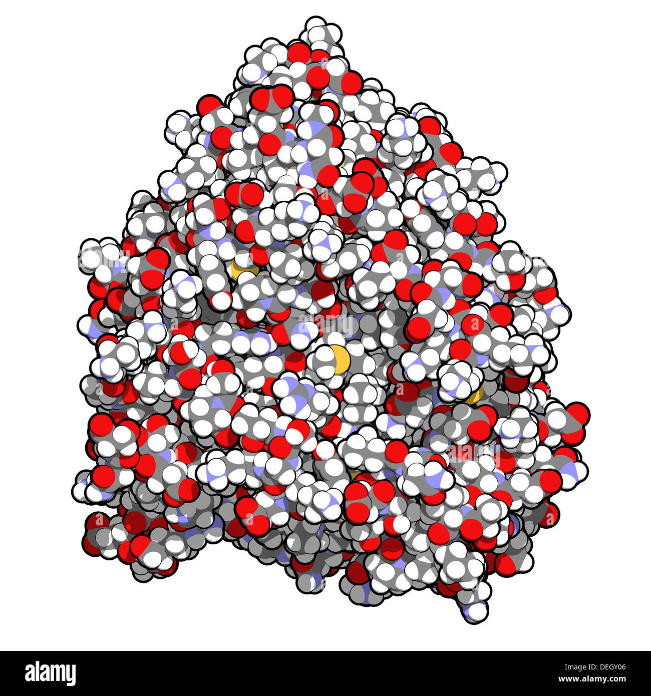 Cytochrome p450 hi-res stock photography and images - Alamy