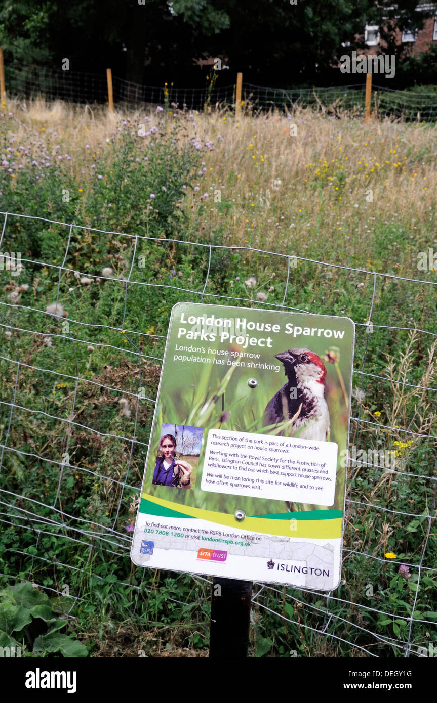 London House Sparrow Parks Project sign Stock Photo - Alamy