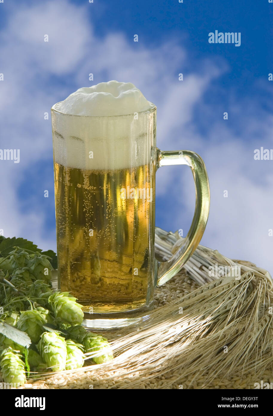 Brewing brewery alcohol alcoholic draft beer beer on tap sky hi-res ...