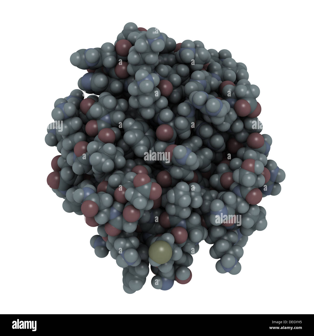 Growth factor receptor-bound protein 10 (Grb10, Grb-IR) molecule. Also ...
