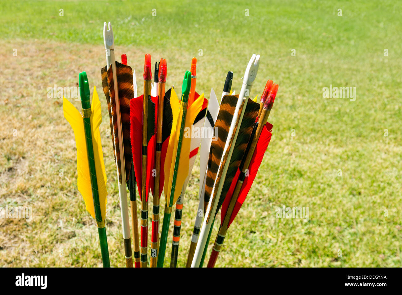 Field target hi-res stock photography and images - Alamy