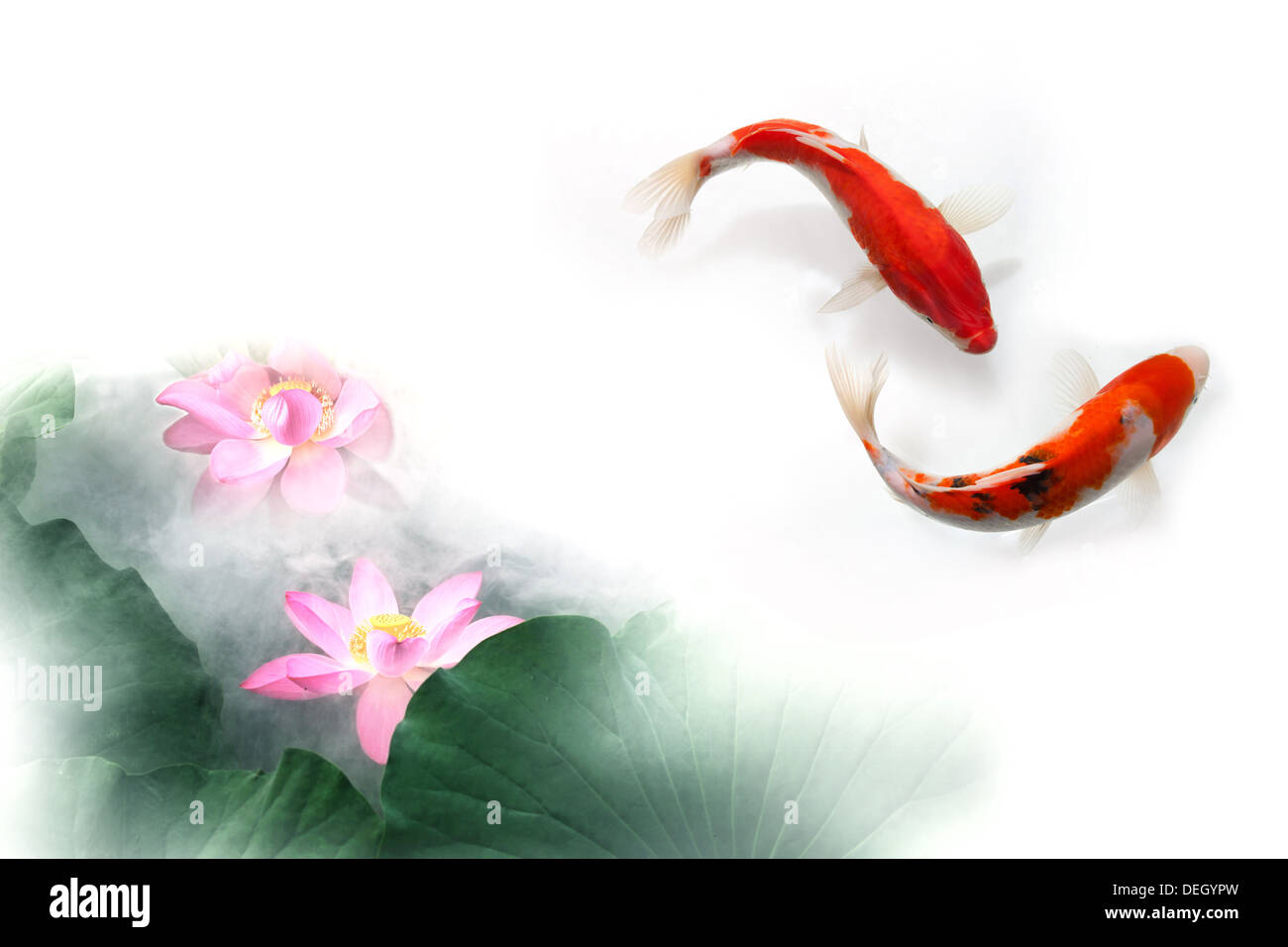 Digital composite of gold fish Stock Photo - Alamy