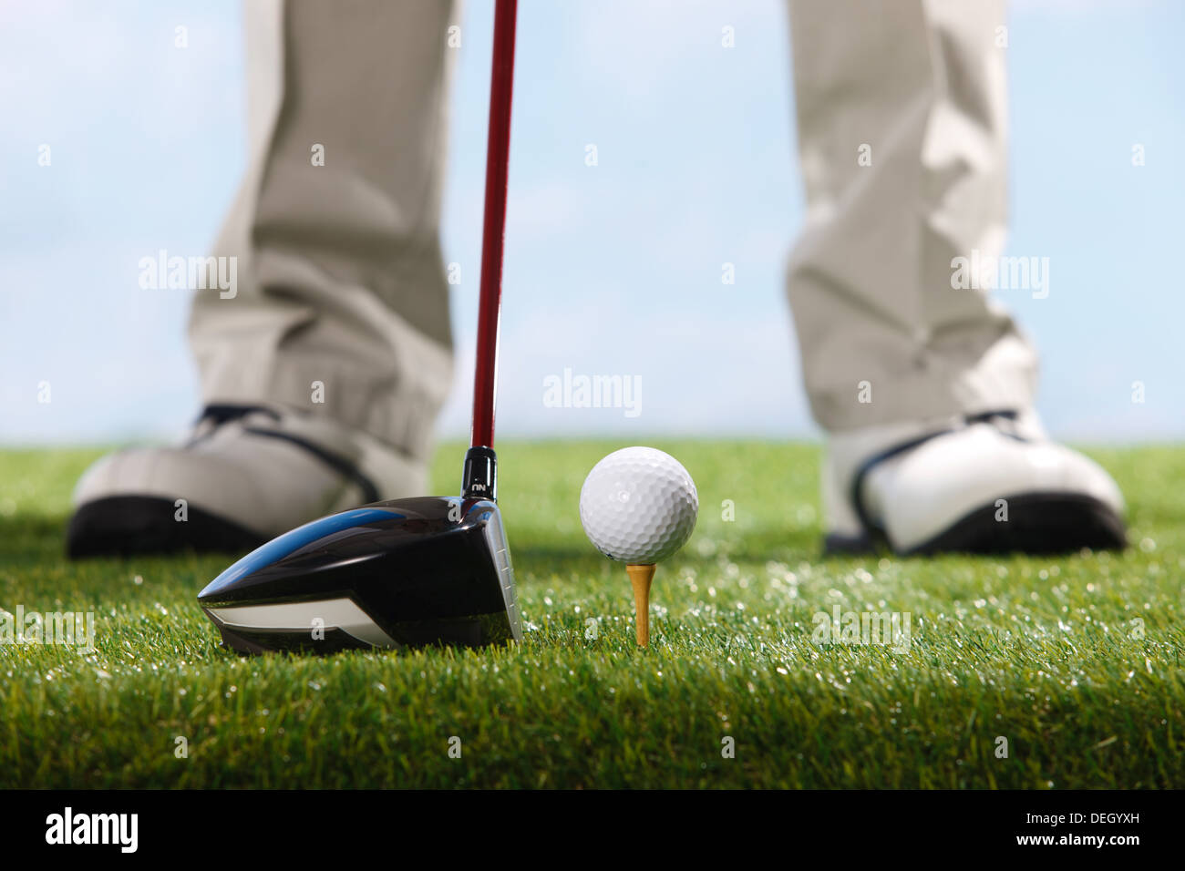 Golf player teeing up to hit ball Stock Photo - Alamy