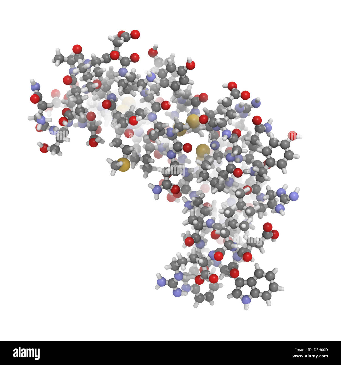 Human epidermal growth factor (hEGF). Growth factor that binds to the EGF receptor and ...