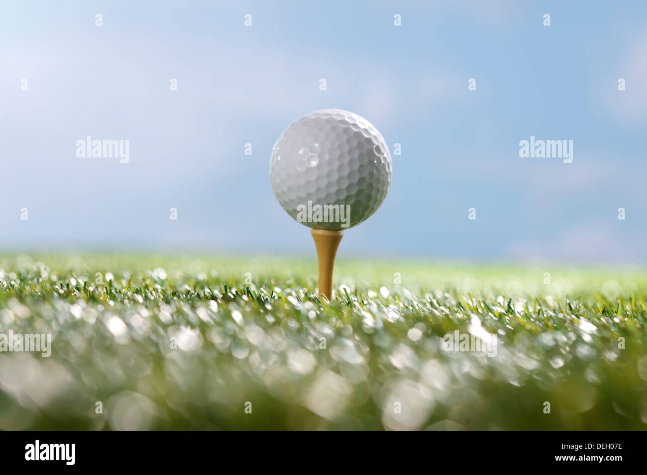 Golf ball on tee Stock Photo - Alamy