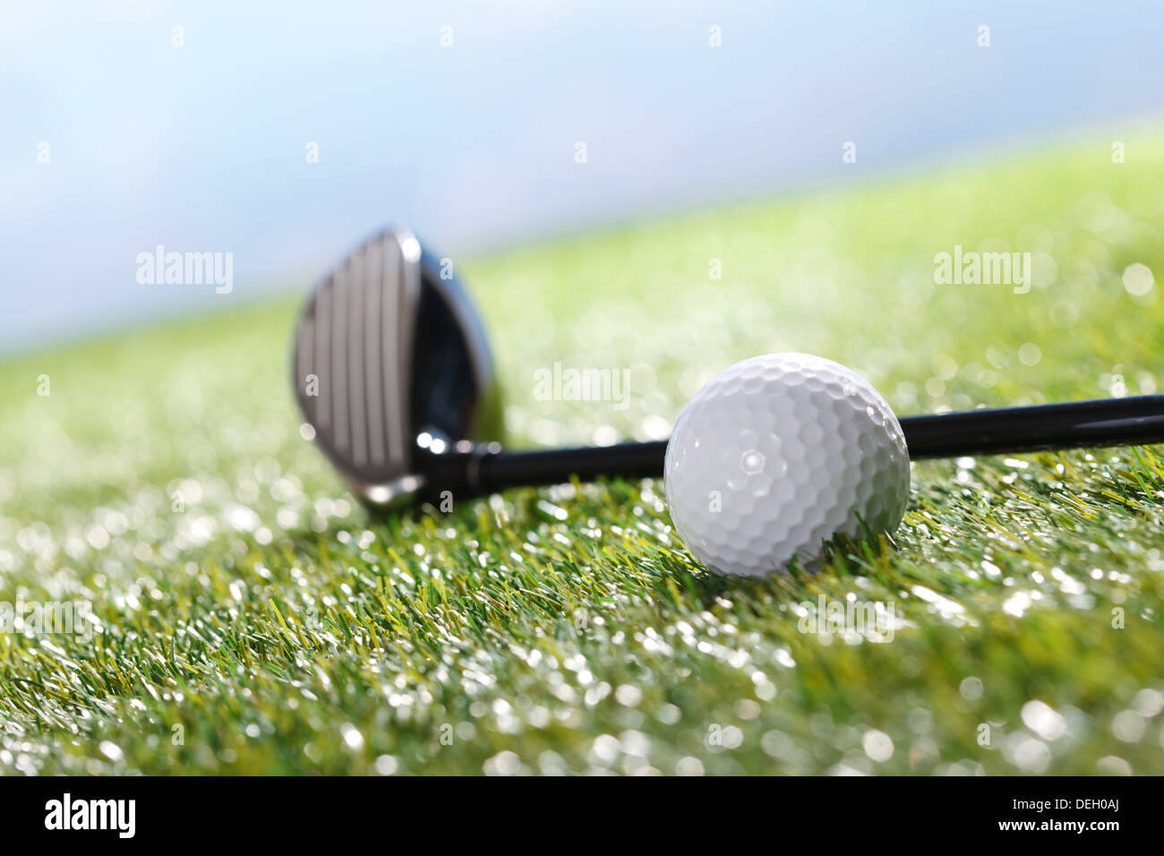 Golf club and ball Stock Photo - Alamy