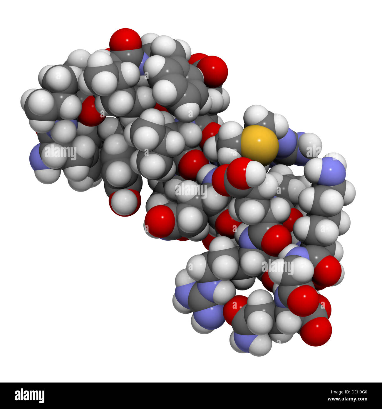Motilin polypeptide hormone molecule. Stimulates stomach activity ...
