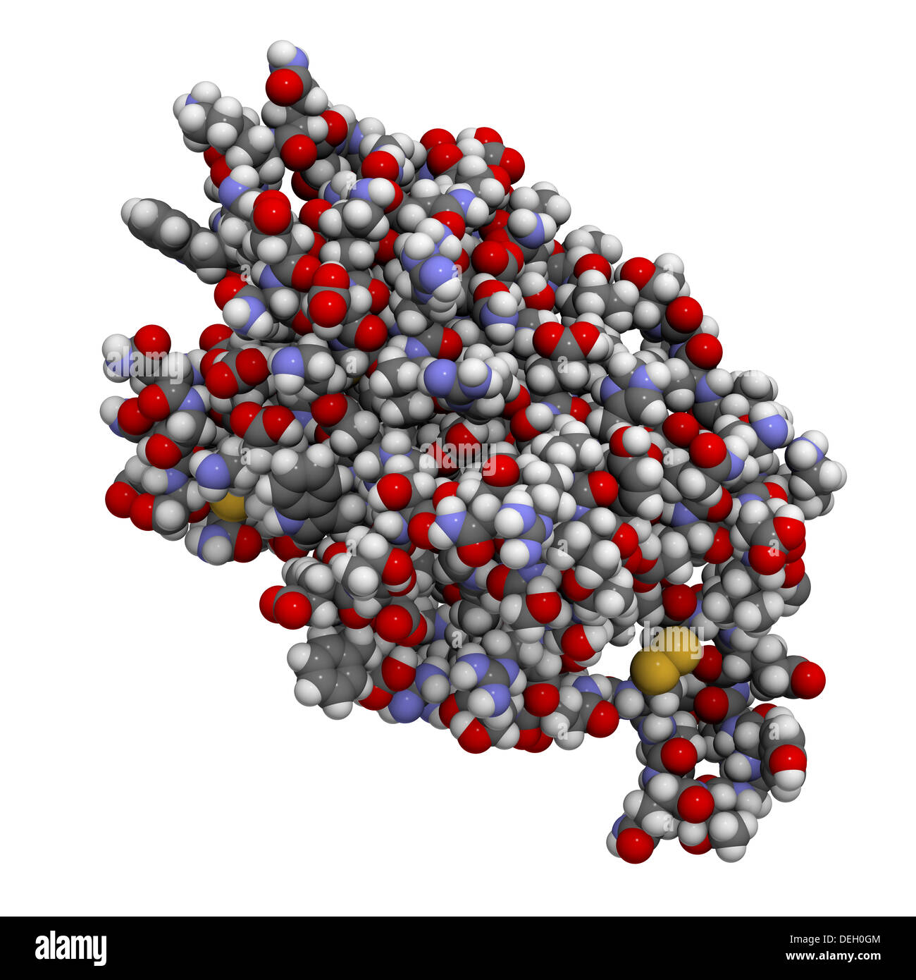 Interleukin 6 (IL-6) molecule, chemical structure. IL-6 is a an ...