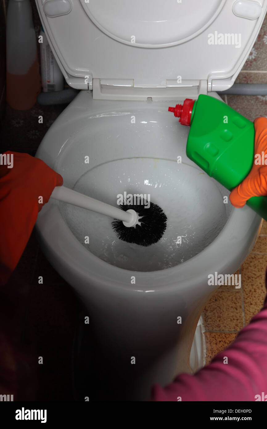 Housework. Clean bath wc Stock Photo - Alamy