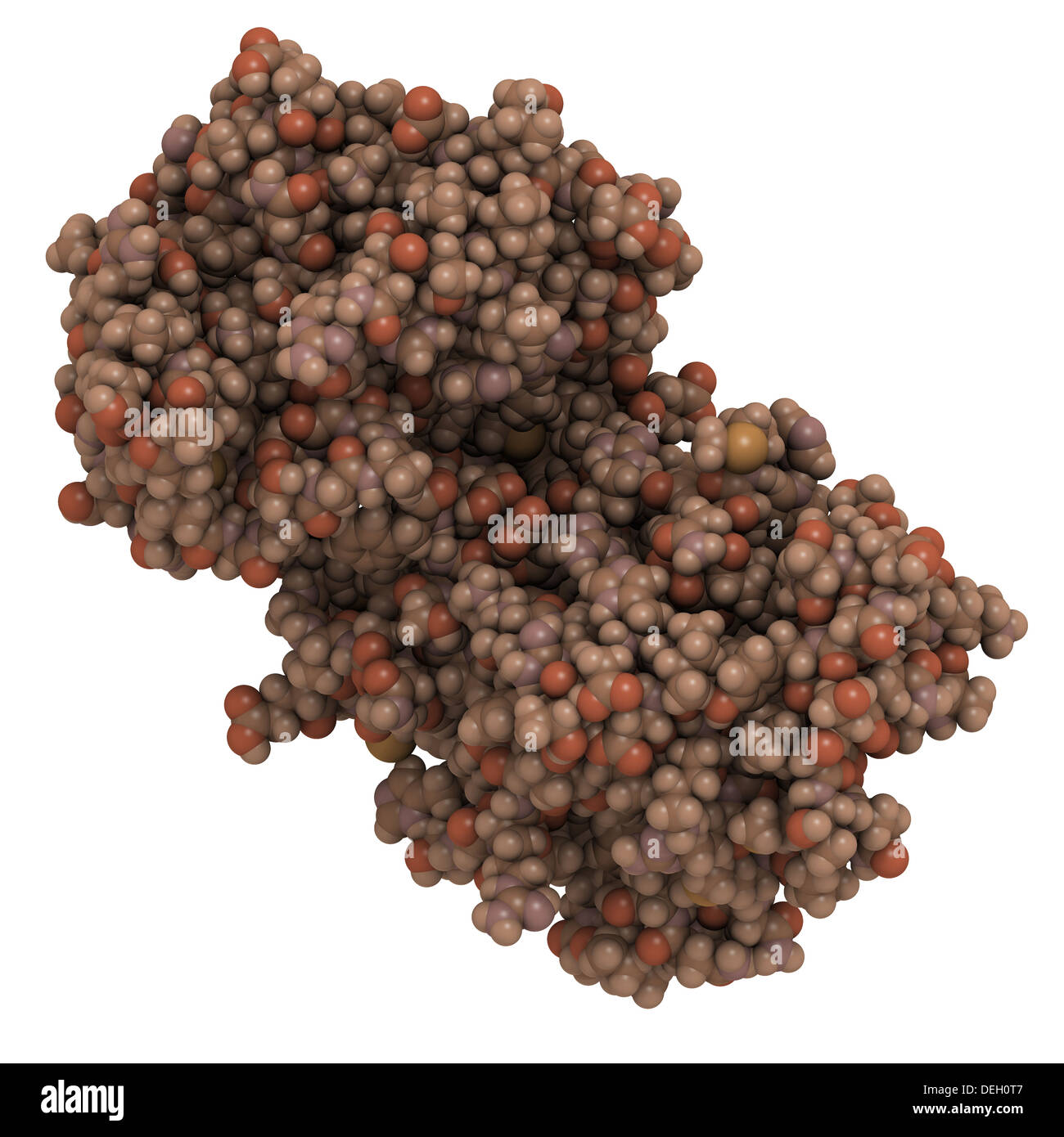 p38 mitogen-activated protein (MAP) kinase, chemical structure. plays ...