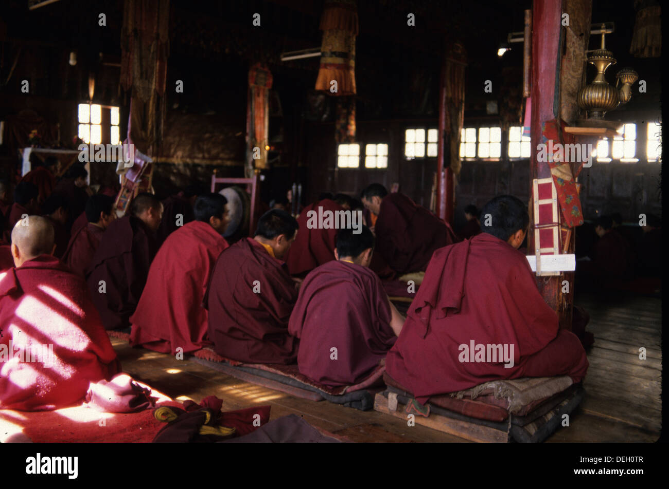 nepal, village, himalaya, people, portrait, mountain, asia Stock Photo ...