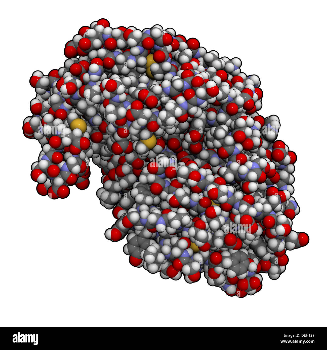 Pepsin enzyme molecule, chemical structure. Digestive enzyme found in ... Pepsin enzyme molecule, chemical structure. Digestive enzyme found in ...