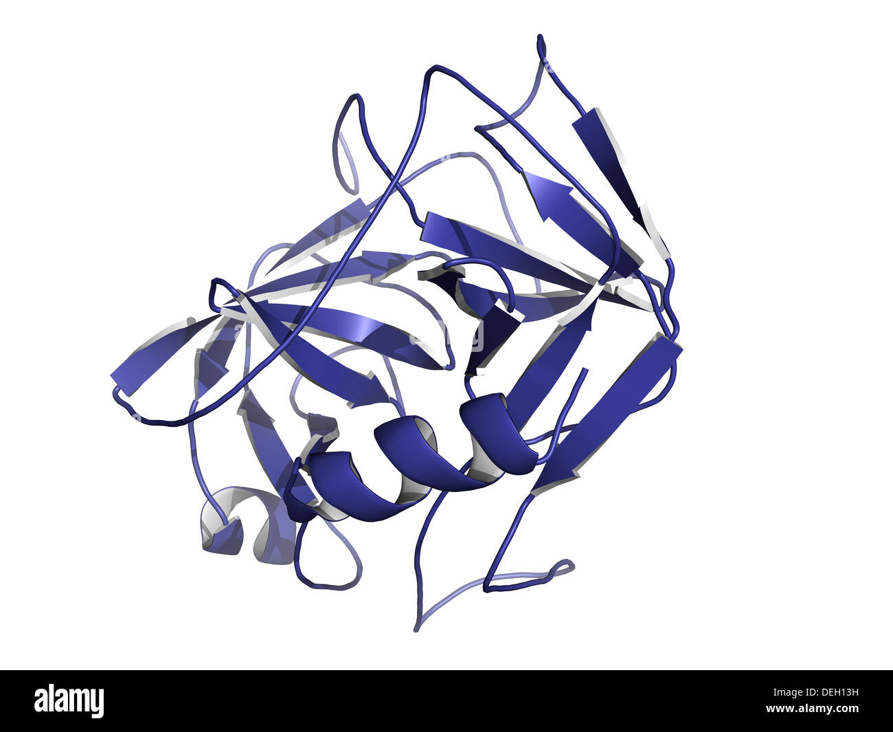 Prostate-specific antigen (PSA, gamma-seminoprotein, kallikrein-3, KLK3 ... Prostate-specific antigen (PSA, gamma-seminoprotein, kallikrein-3, KLK3 ...