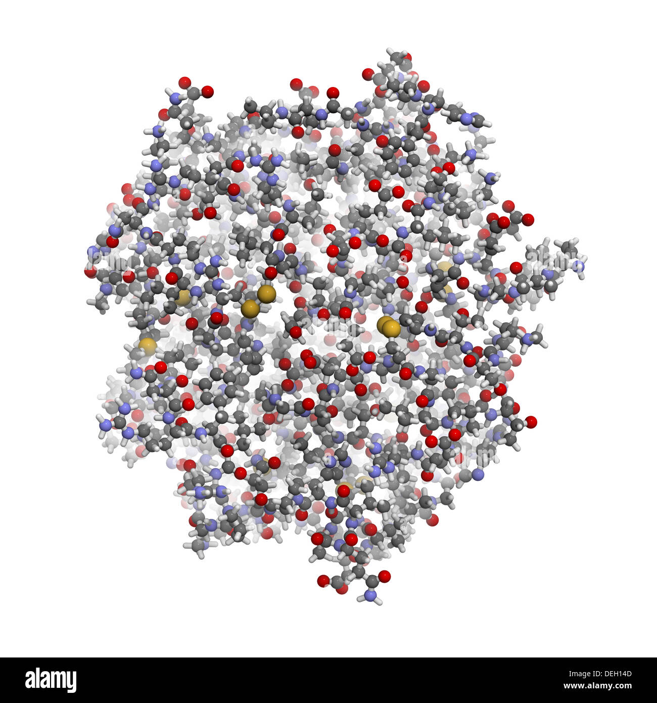 Prostate-specific antigen (PSA, gamma-seminoprotein, kallikrein-3, KLK3 ... Prostate-specific antigen (PSA, gamma-seminoprotein, kallikrein-3, KLK3 ...