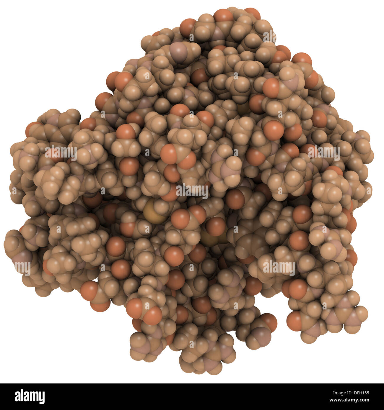 Prostate-specific antigen (PSA, gamma-seminoprotein, kallikrein-3, KLK3 ... Prostate-specific antigen (PSA, gamma-seminoprotein, kallikrein-3, KLK3 ...