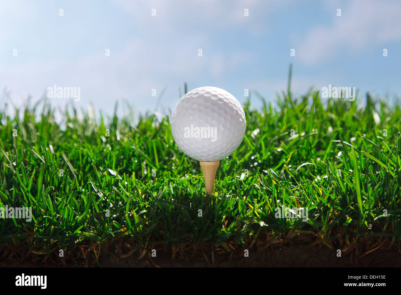 Golf ball on tee Stock Photo - Alamy