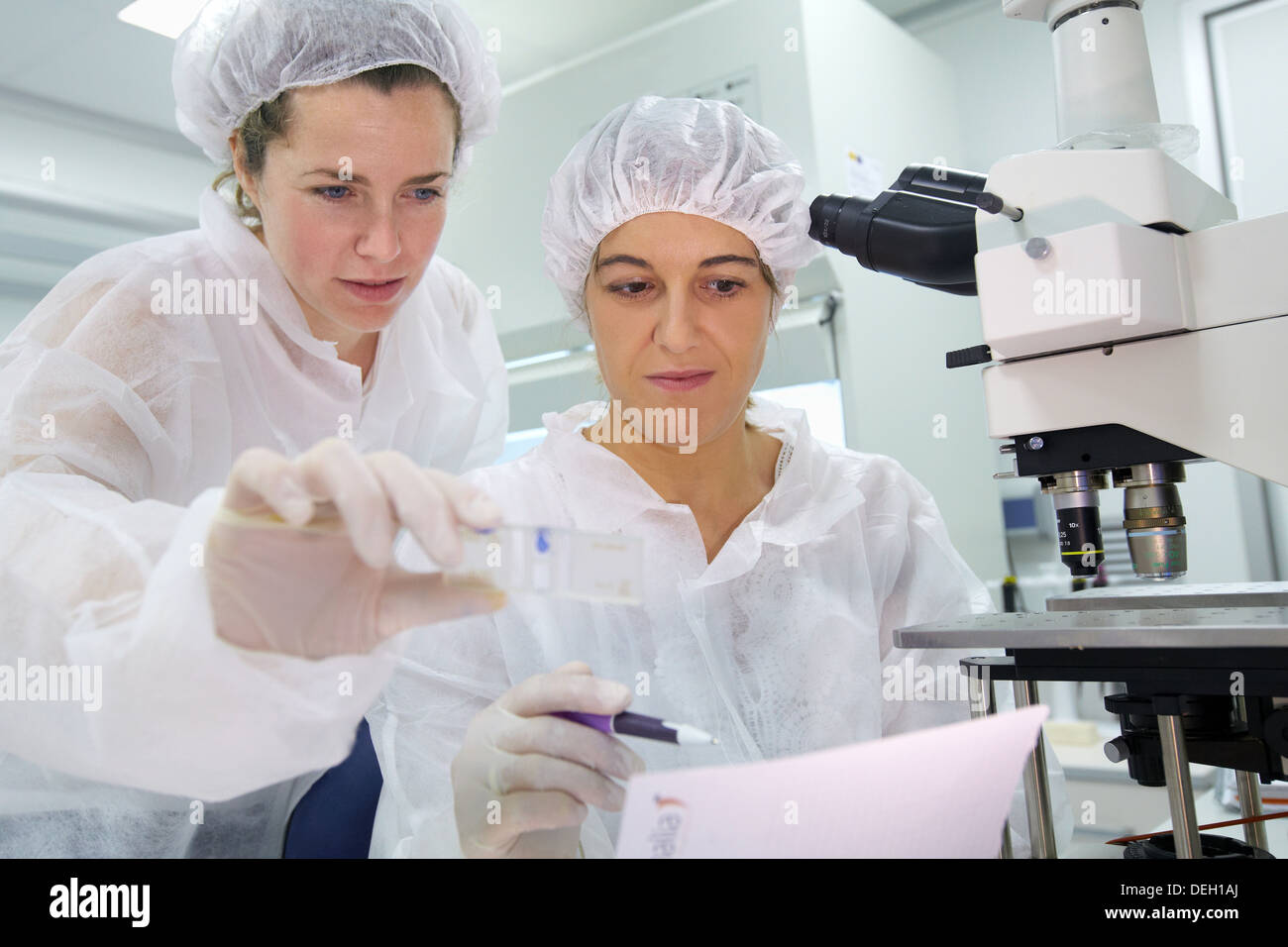 Mammalian cell culture laboratory hi-res stock photography and images ...