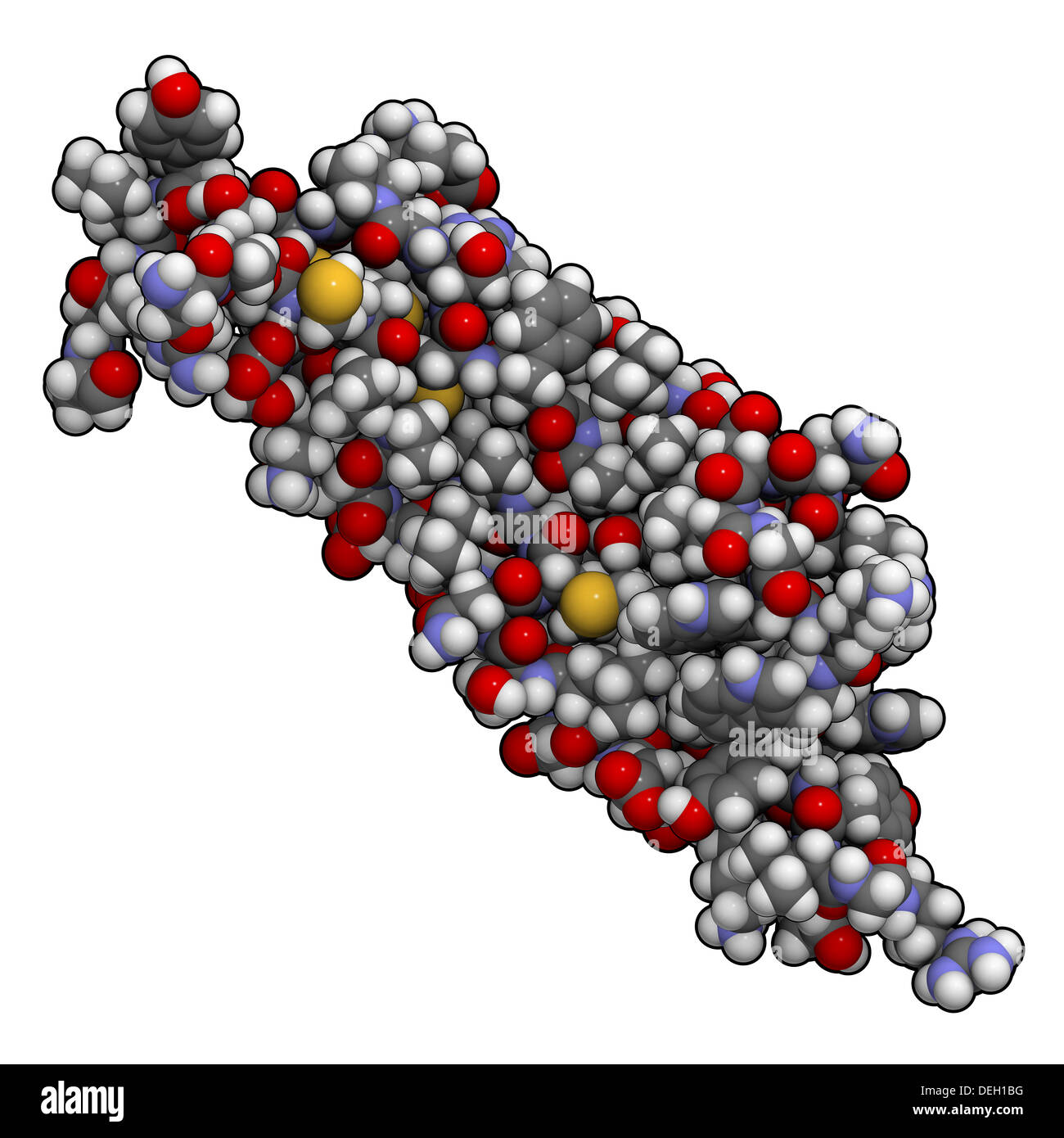 Transforming growth factor beta (TGFB) molecule. Cytokine that plays a ...