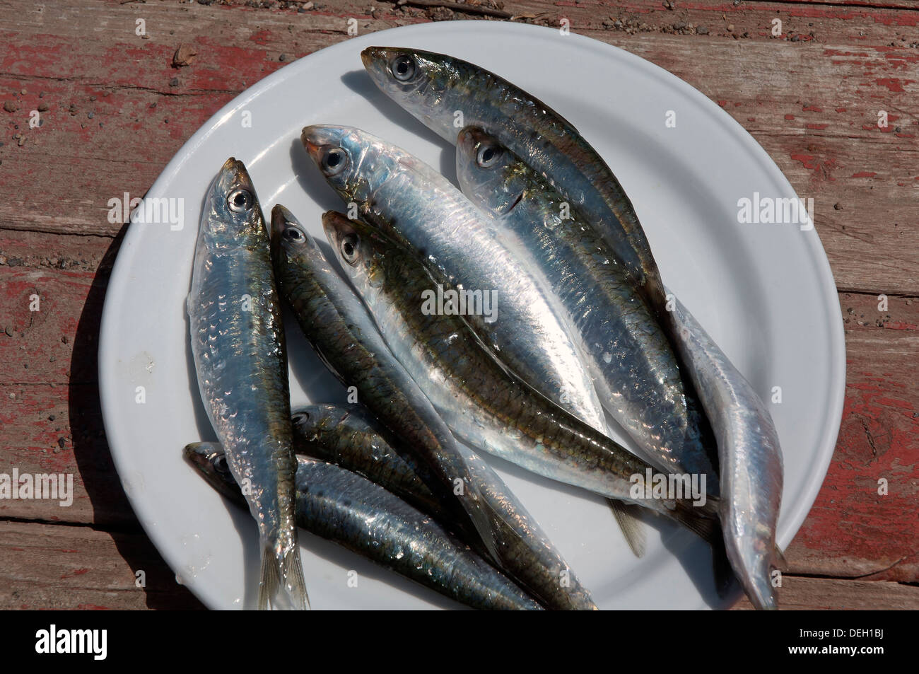 Typical food of malaga hi-res stock photography and images - Alamy