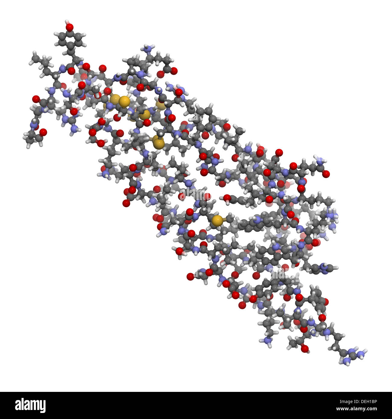 Transforming protein hi-res stock photography and images - Alamy