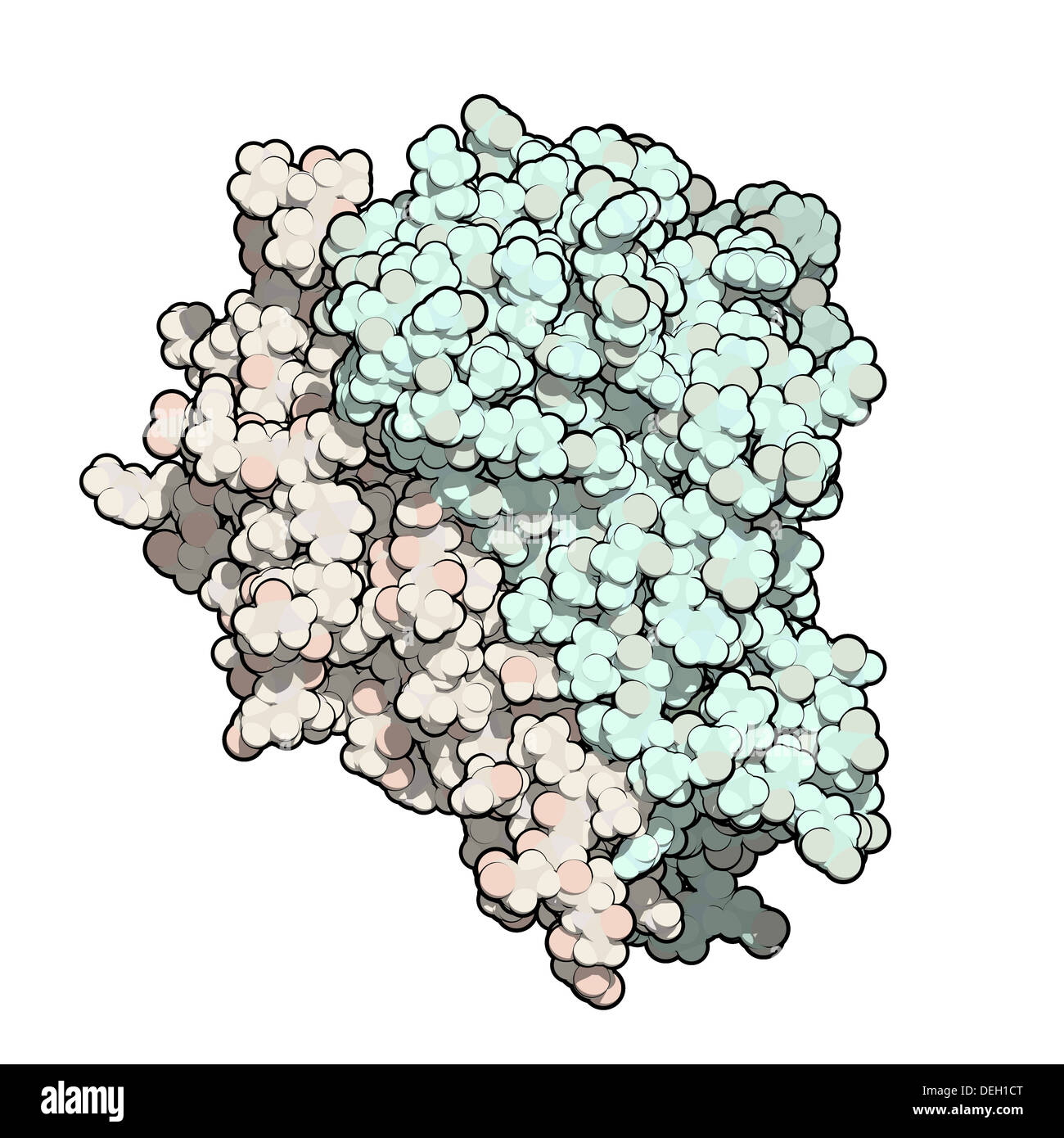 Tumor necrosis factor (TNF, cachexin, cachectin), chemical structure ...