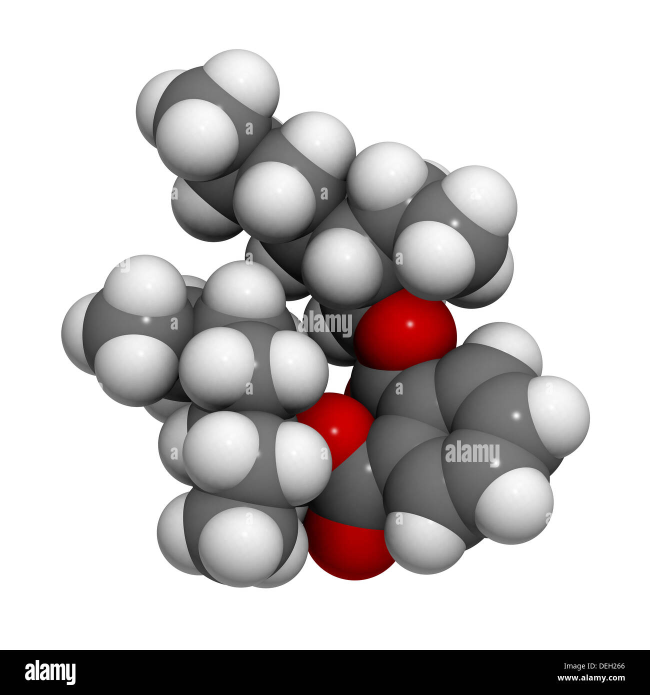 Effects of plastic pollution Cut Out Stock Images & Pictures - Alamy