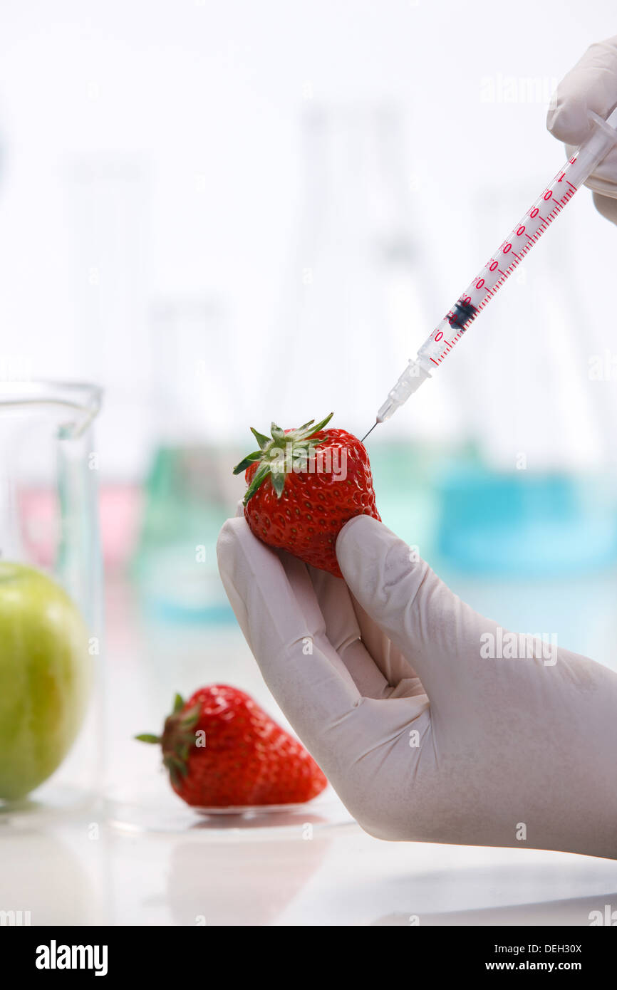 Scientist giving strawberry an injection by syringe Stock Photo - Alamy