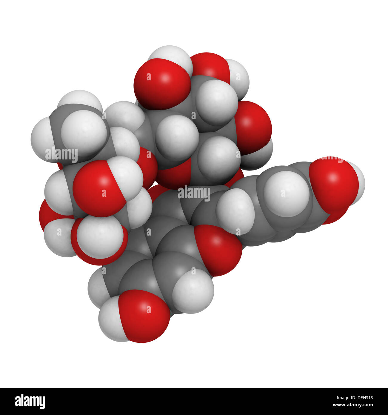 Rutin (rutoside, sophorin) molecule, chemical structure. Believed to ...